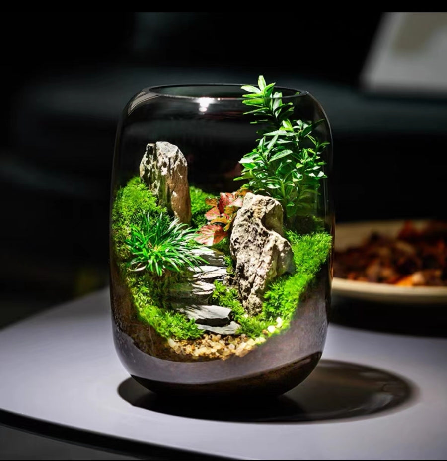 Green Mountain - Microlandscape [Including Internal Plants + Decoration ...