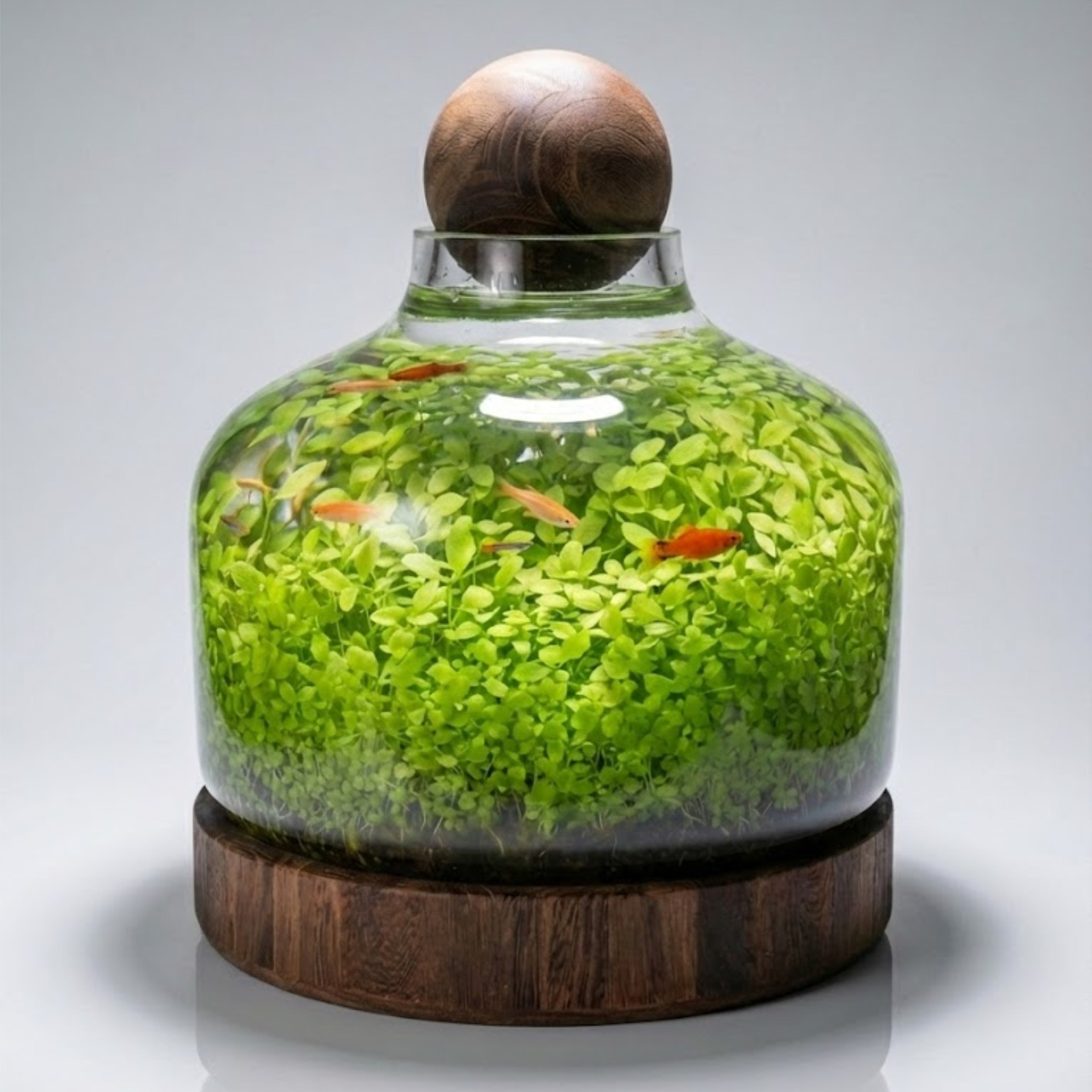 Complete Set Of Eco-Water Grass Tank – PlantedPro