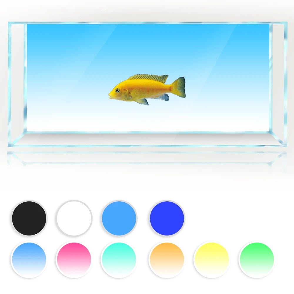 Gradient Fish Tank Background: PVC Aquarium Decor – PlantedPro