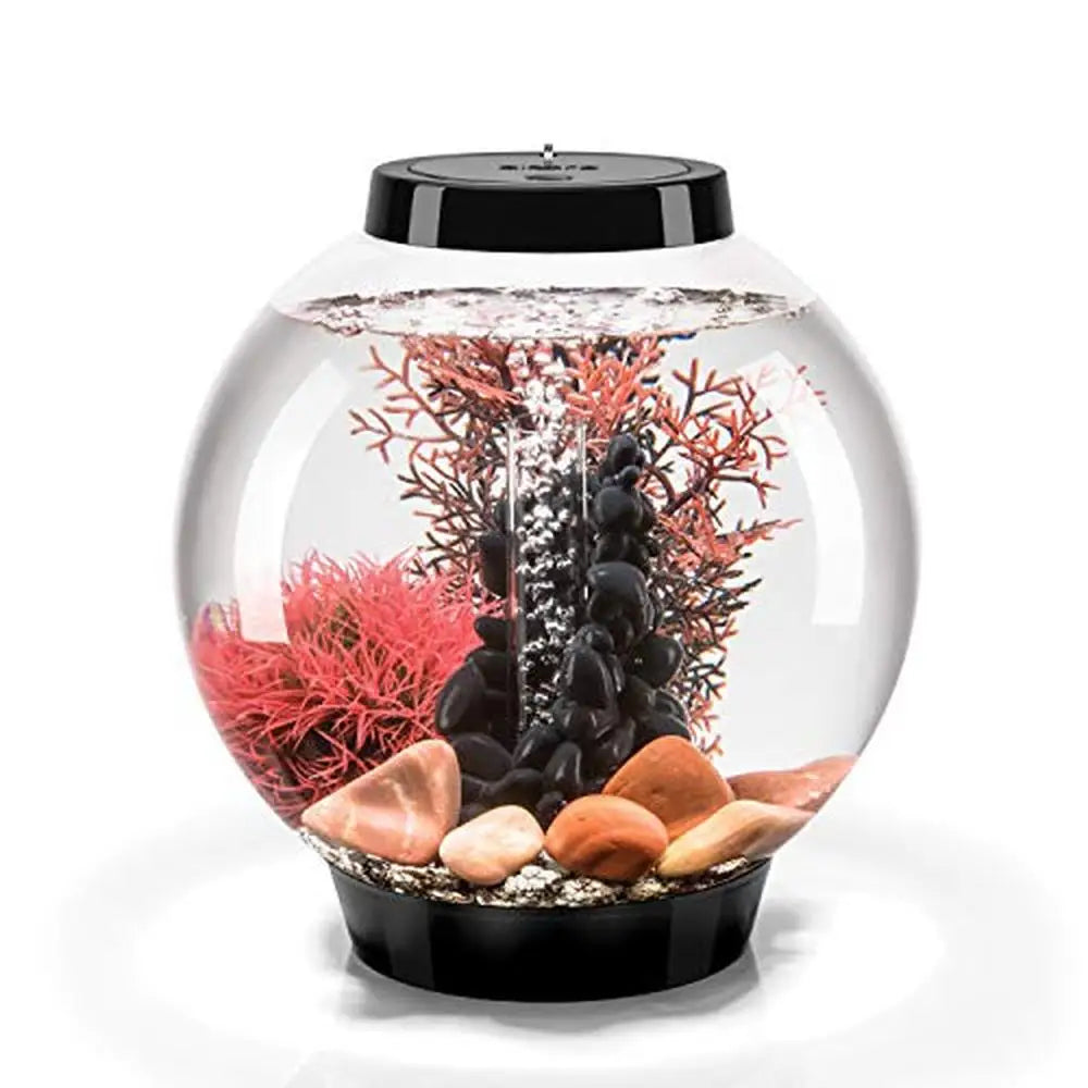 4-Gallon Black Aquarium Set with Red Stone Décor & LED Light (Complete ...